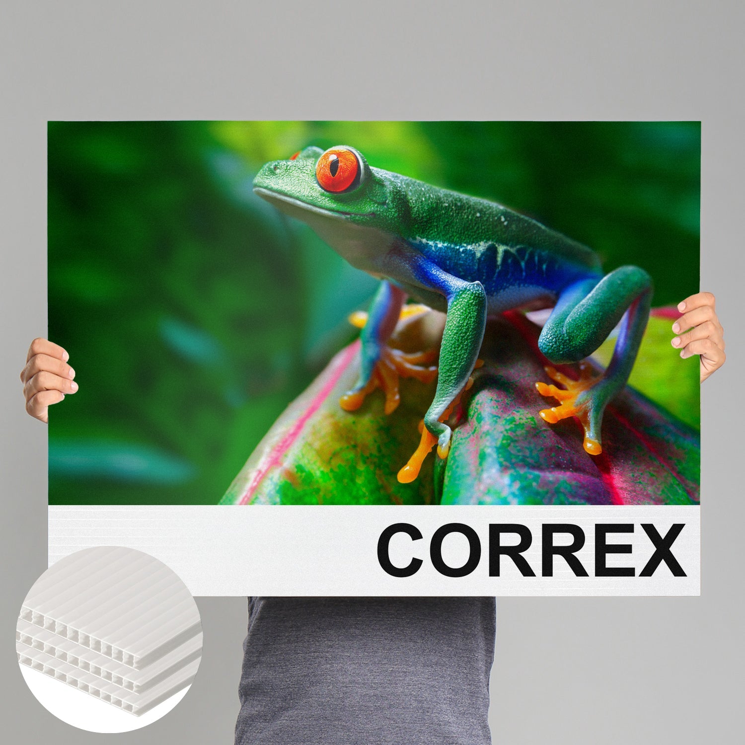 Corrugated Plastic Printed Signs – Quick Signs 4 U