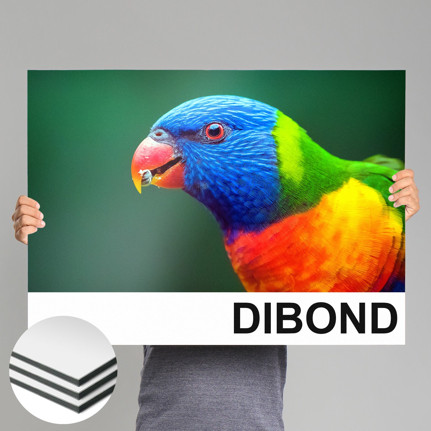 Dibond Printed Signs – Quick Signs 4 U